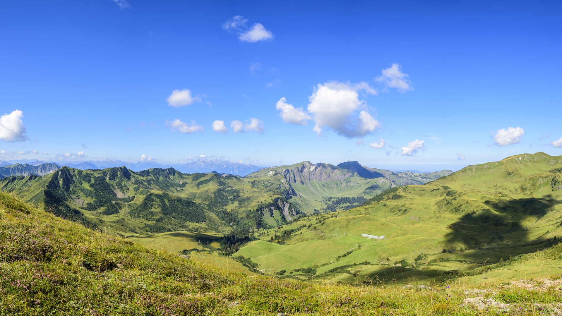 Schaffa in Vorarlberg | AK Vorarlberg
